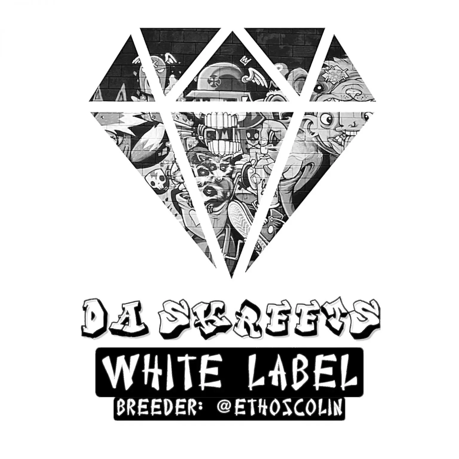 Da Skreets White Label – Paper Chaser V2 (Feminized) - Brotanical ...